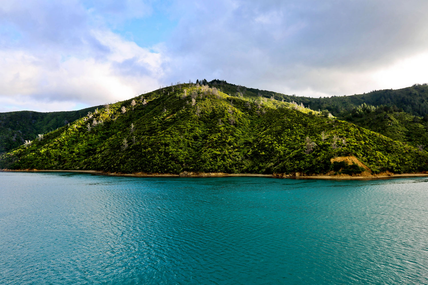 The Ferry From Wellington to Picton – for the love of nike