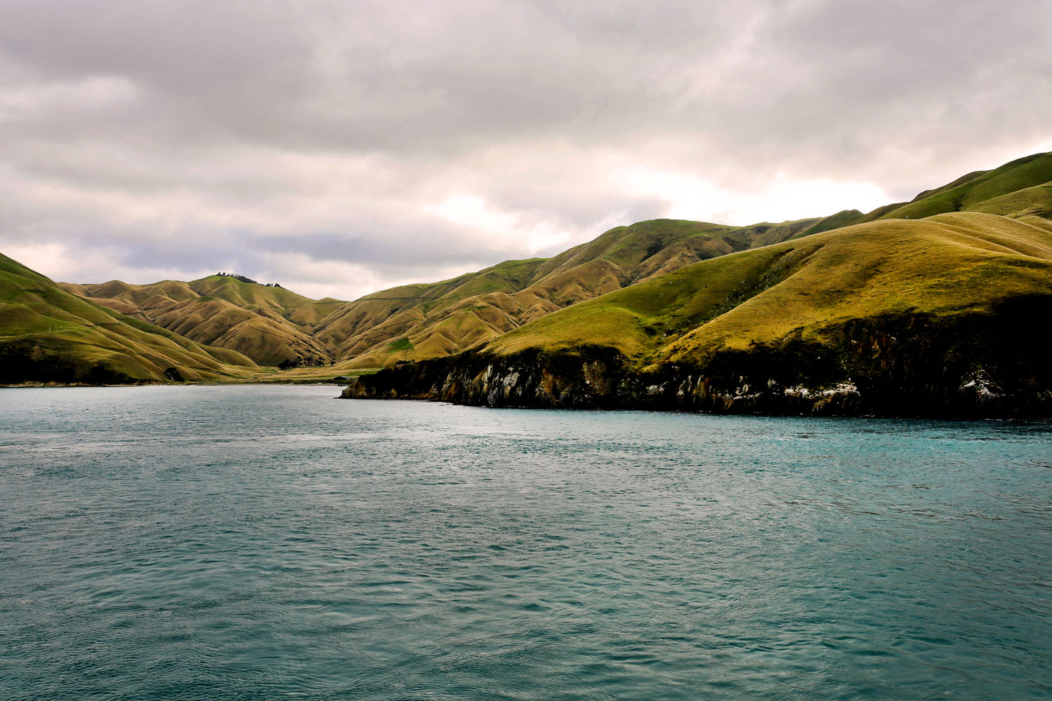 The Ferry From Wellington to Picton – for the love of nike
