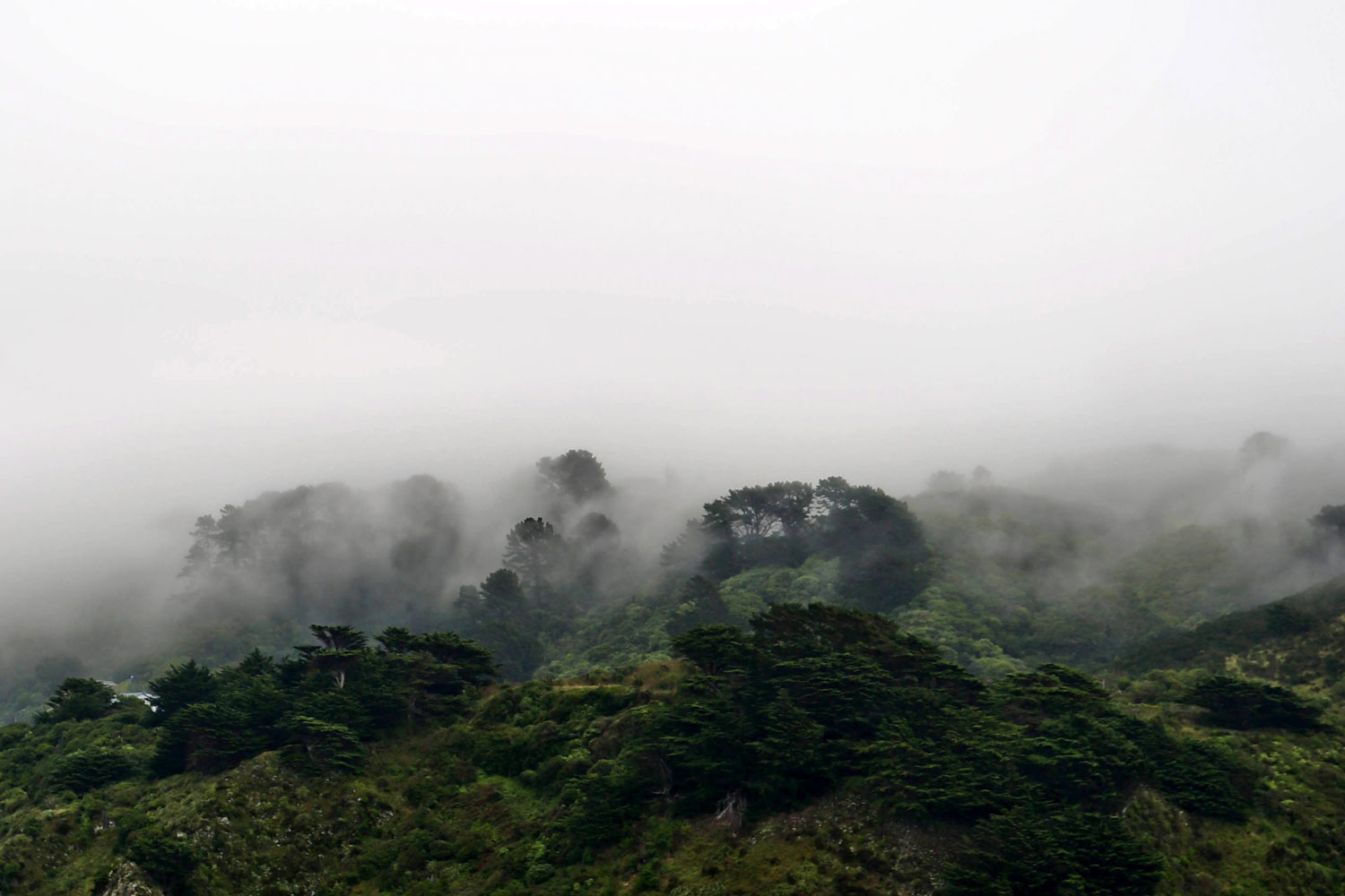 The Ferry From Wellington to Picton – for the love of nike