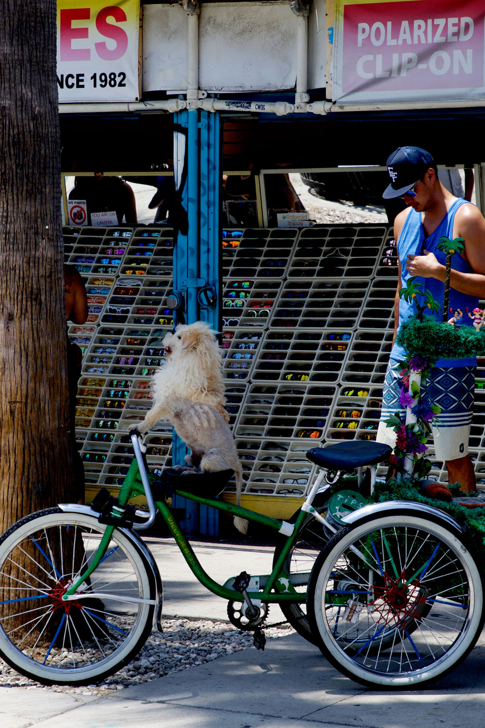 ohhh! That’s why it’s called Venice. – for the love of nike