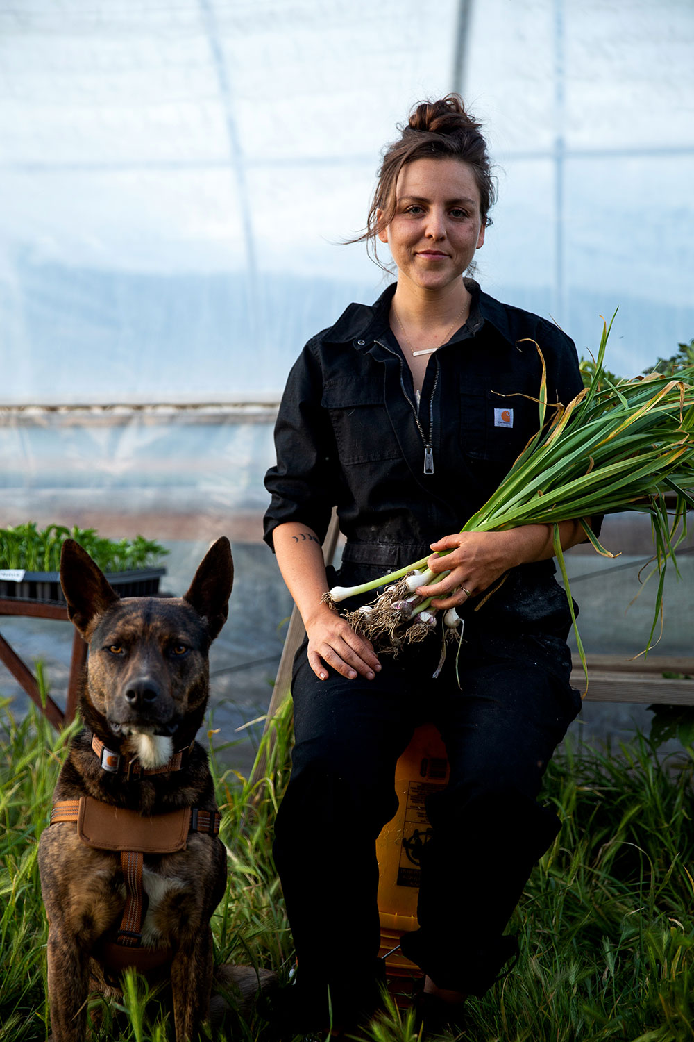 Every Town Should Have an Honorary Dog Mayor – for the love of nike